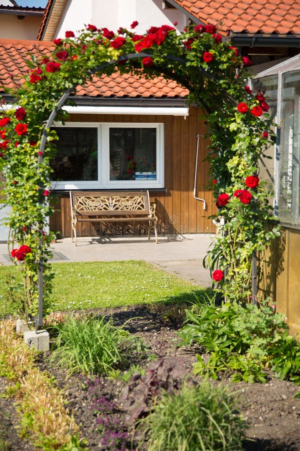 Gate with roses stock photo. Image of achrway, gate, flowers - 55333204