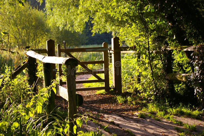Gate in Smallbrook Meadow stock photo. Image of morning - 2962044