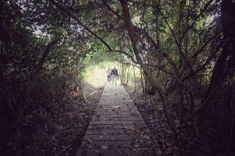 2,890 Jungle Gate Stock Photos - Free & Royalty-Free Stock Photos from ...