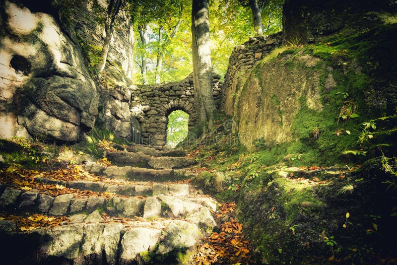 Gate To the Enchanted Forest Stock Photo - Image of nature, forest ...