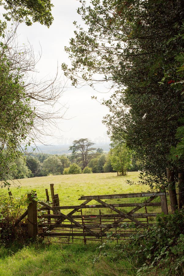 Gate to a field stock photo. Image of farming, land - 183552292