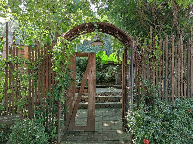 Gate to forest stock photo. Image of pathway, garden - 211316986