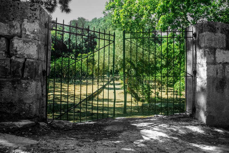 Gate to the Forest stock photo. Image of rural, wooden - 101006830