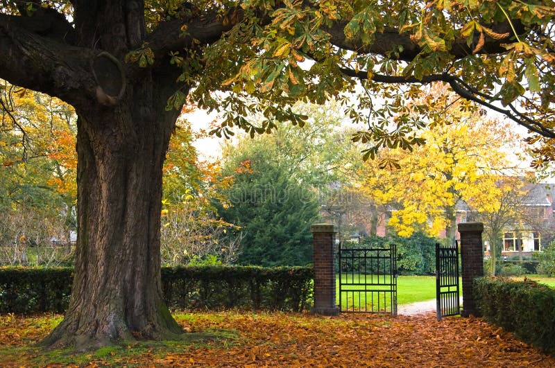 Gate to the park in autumn stock photo. Image of background - 10672836