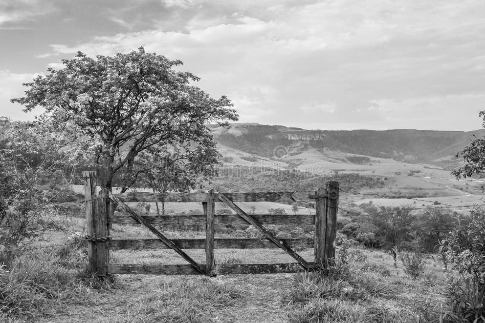 Old gatekeeper stock image. Image of white, grass, road - 143946065