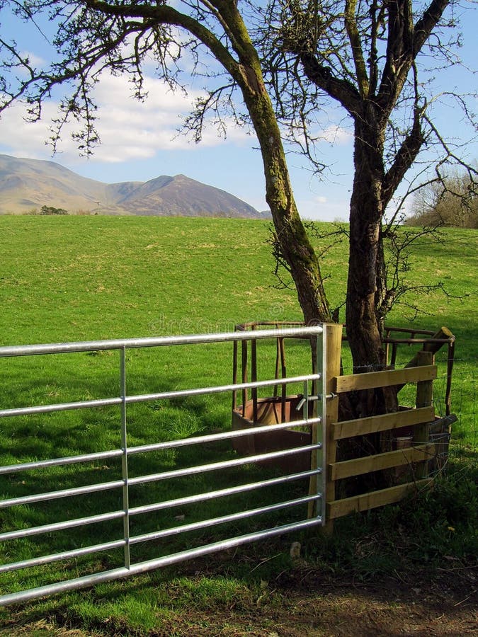 Gate, Tree and Mountains stock image. Image of grass, clouds - 713753