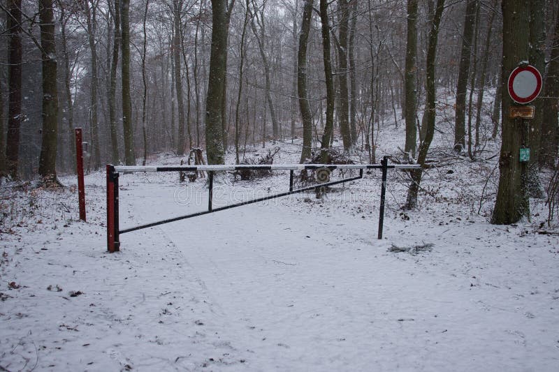 Gate on a Walking Path in a German Forest on a Winter Day Stock Photo ...