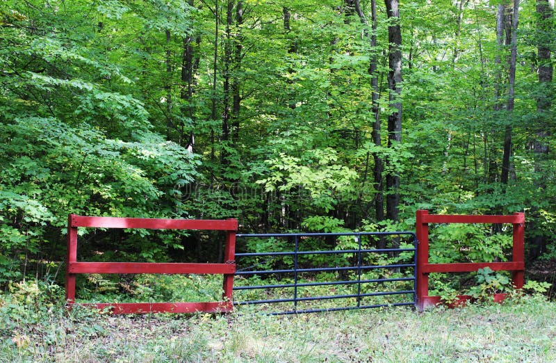 Gate by Woods stock image. Image of wooden, woods, forest - 45143217