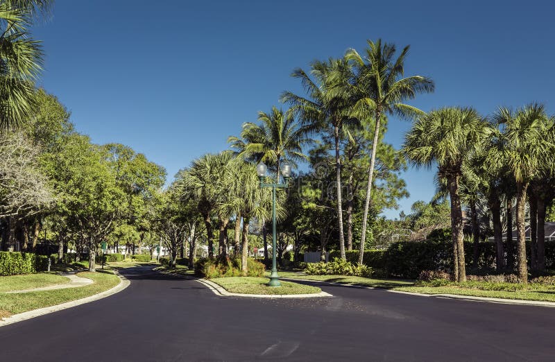 Gated Community Road in Tropics Stock Image - Image of lawn, asphalt ...