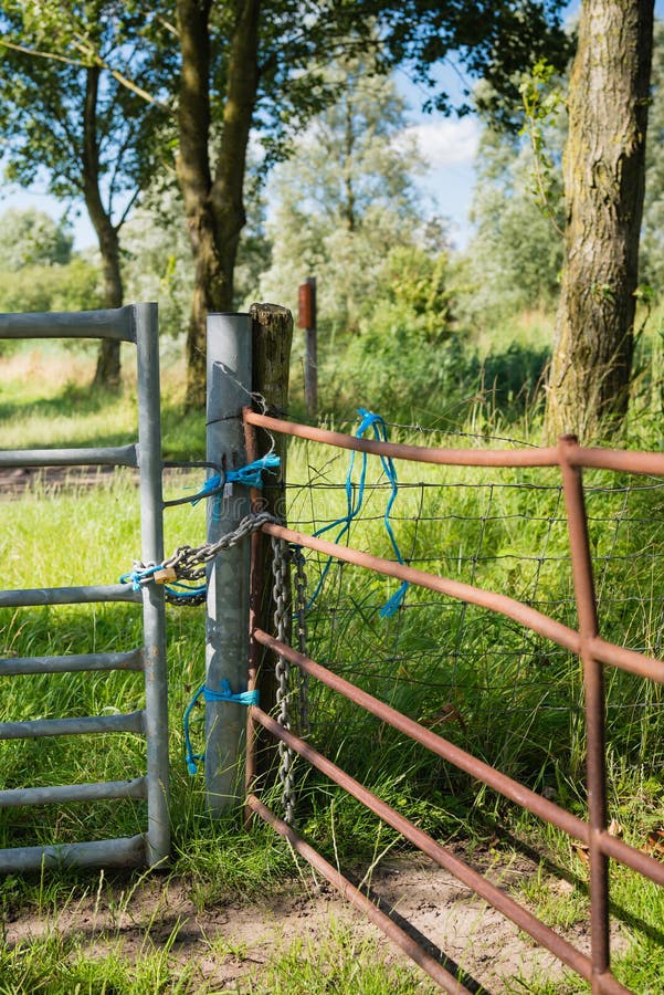 Gates Locked with a Chain and Blue Ropes from Close Stock Photo - Image ...