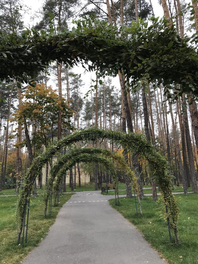 A Row of Gates Covered in Green and Foliage Stock Photo - Image of ...