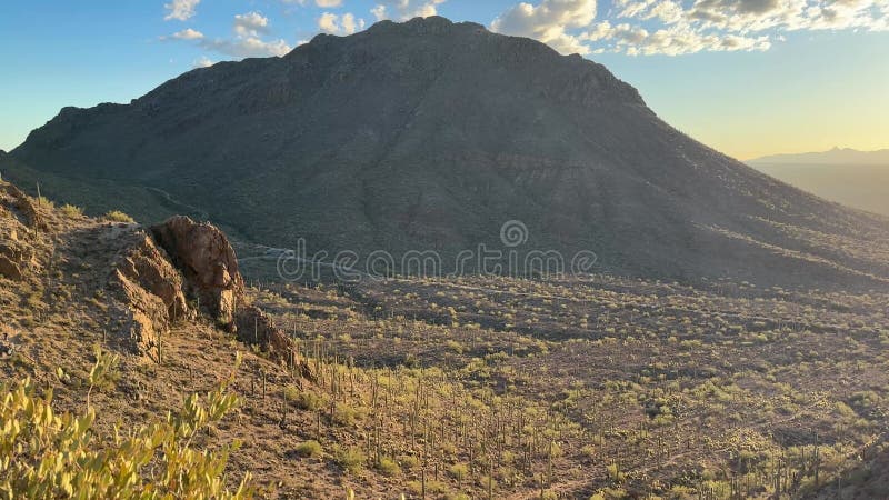 Gates Pass at Sunset with Lots of Saguaro Cactus. Stock Video - Video ...