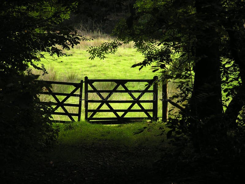 Gateway out of the woods stock image. Image of five, meadow - 5419397