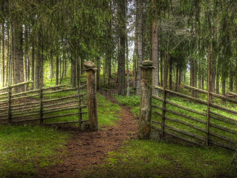 Gateway Sur Le Chemin Forestier Photo stock - Image du rural, boisé ...