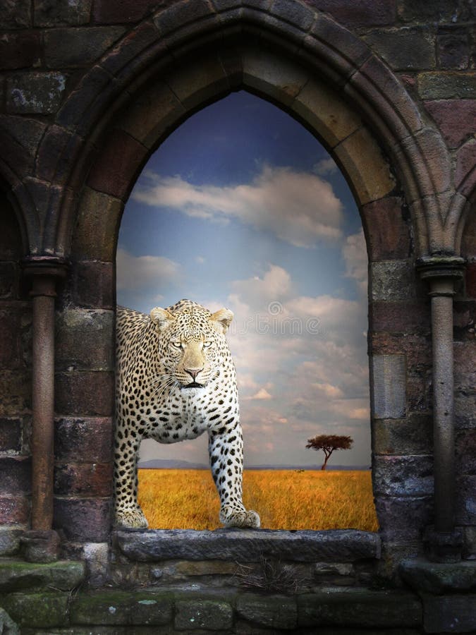 Gateway to Africa stock photo. Image of african, portal - 27072218