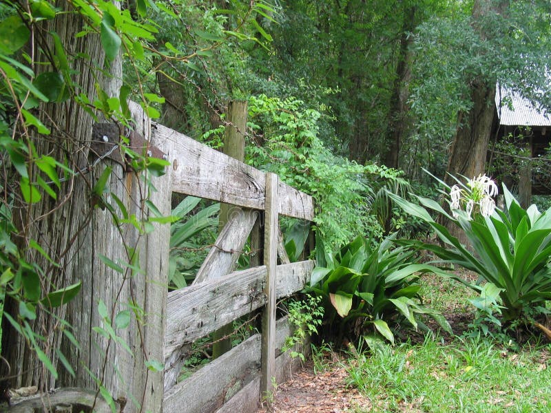 Gateway to the garden stock image. Image of fence, country - 16147