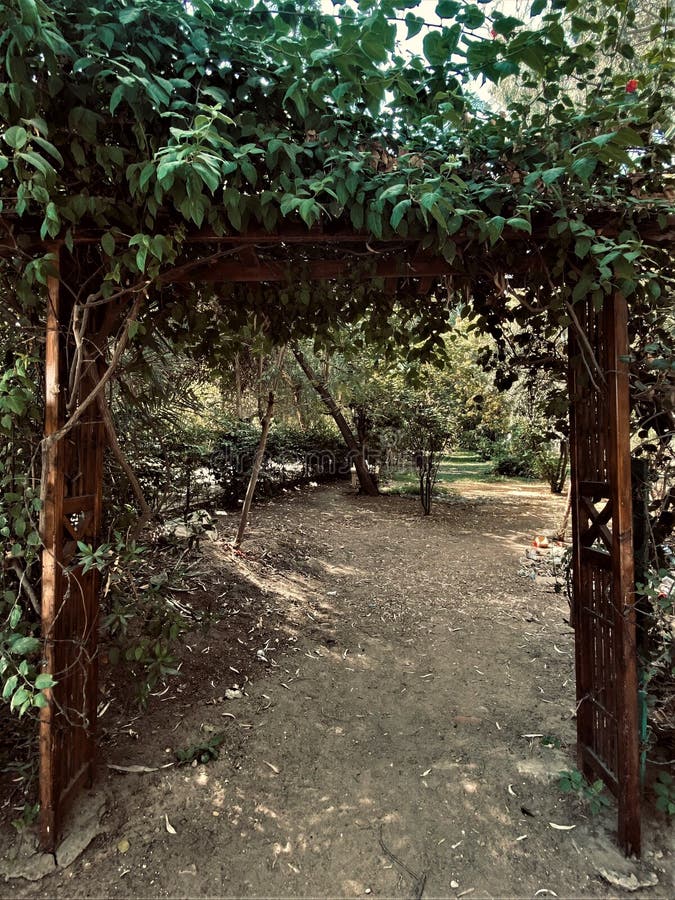 Gateway to nature stock image. Image of sunlight, gate - 263471045