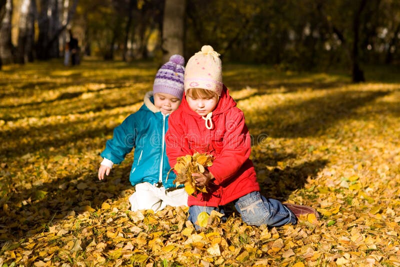 Gathering of Autumn Leaves 2 Stock Photo - Image of happiness, blond ...