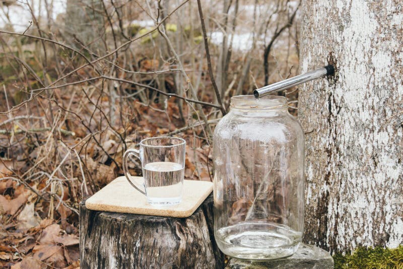 Tree and oil drilling rig stock photo. Image of black - 6895372