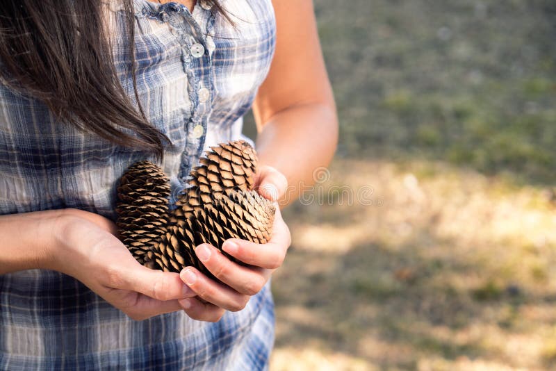Gathering in nature stock image. Image of leisure, unrecognizable ...