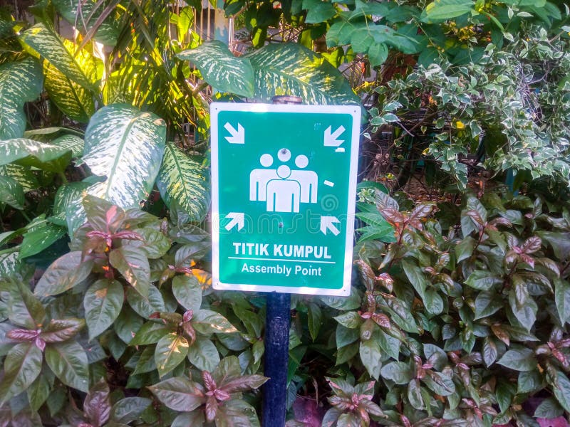 Gathering Point Board in a Park. Assembly Point Stock Image - Image of ...