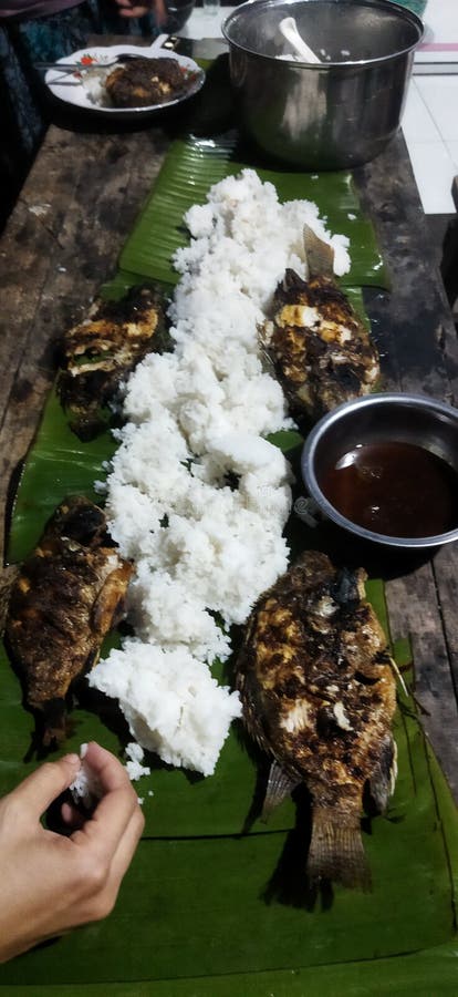 Gathering and Serving Grilled Fish Stock Photo - Image of fish, grilled ...