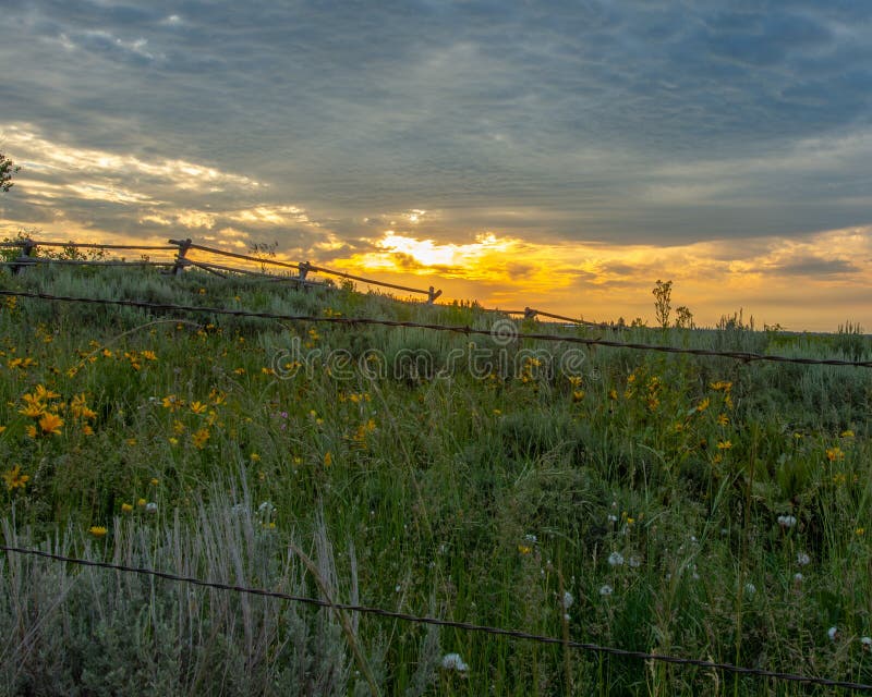 Gathering Storm stock image. Image of national, canyon - 10463177