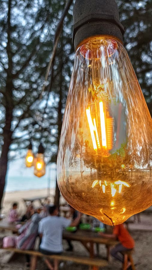 Gathering under the lights stock image. Image of water - 265447011