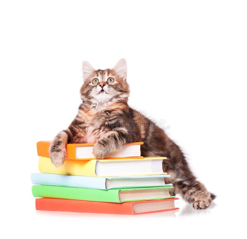 Cat Writing Elegante Con Los Libros En Blanco Foto de archivo - Imagen ...