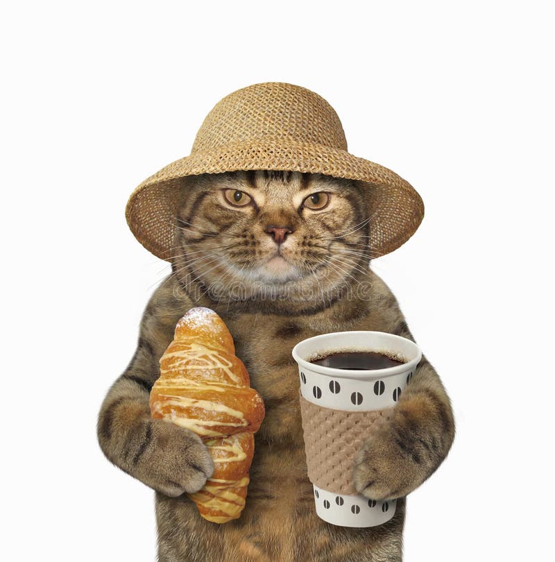 Gato Con El Café Y El Cruasán 3 Imagen de archivo - Imagen de humor ...