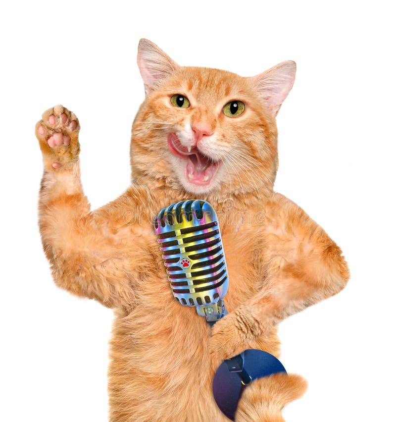 Gato con un micrófono imagen de archivo. Imagen de profesional - 54441073