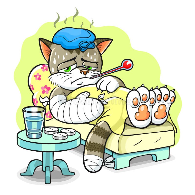 Gato doente ilustração do vetor. Ilustração de paciente - 42940602