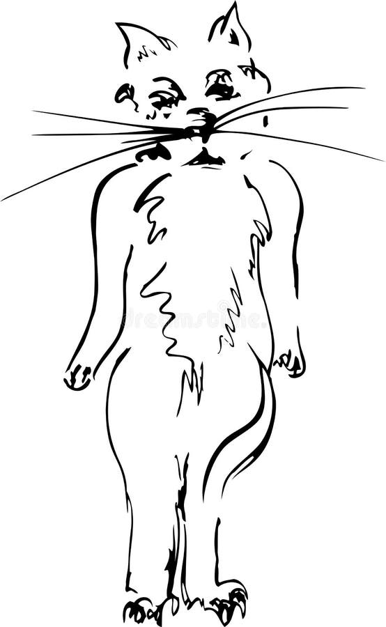 Gato Estilizado Ilustrações Vetores E Clipart De Stock 5 439 Stock