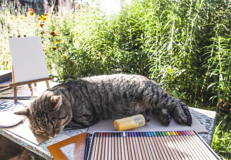 Gato Flojo Tendido Sobre La Mesa Con Material Escolar Foto de archivo ...