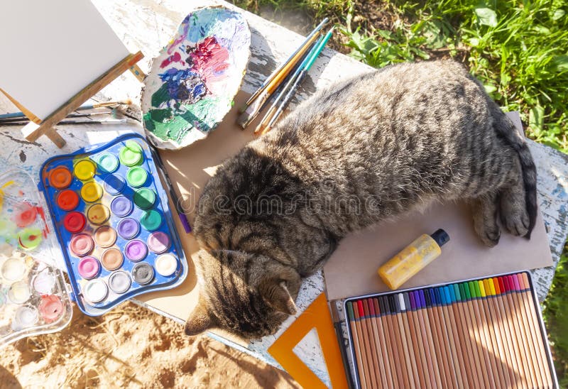 Gato Flojo Tendido Sobre La Mesa Con Material Escolar Imagen de archivo ...