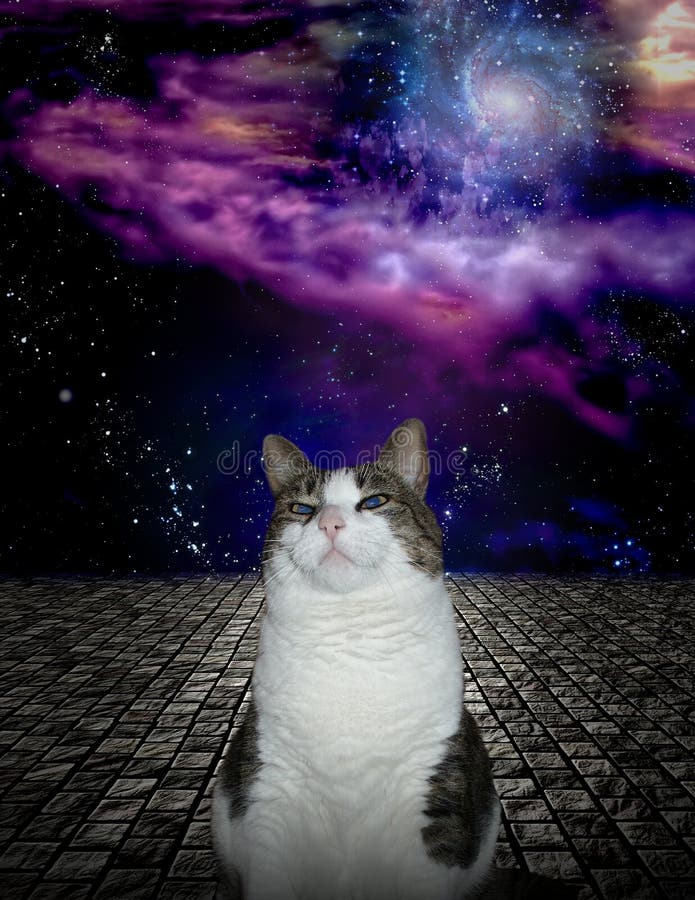 Orgulloso Ilustraciones Stock, Vectores, Y Clipart – (65,935 ...