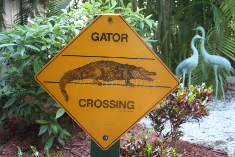 Gator Crossing Sign Stock Photos - Free & Royalty-Free Stock Photos ...