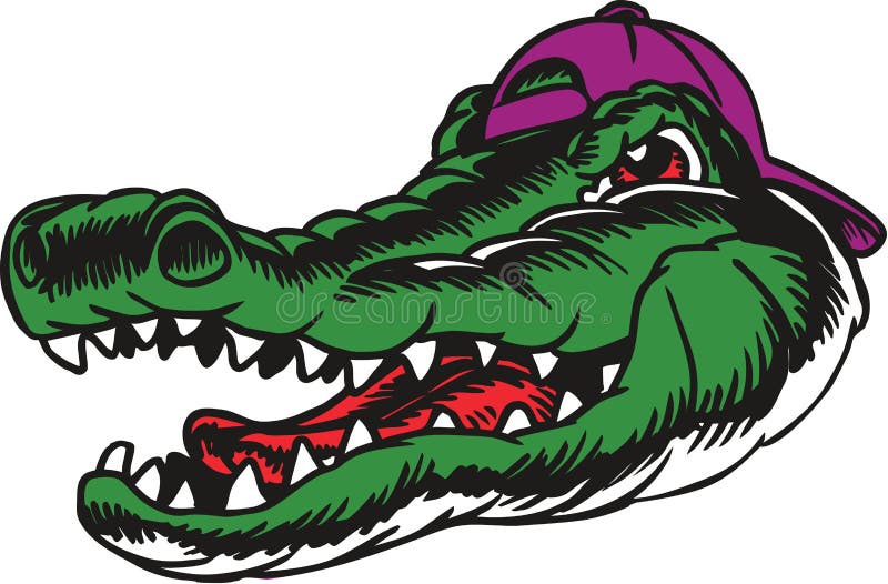Gator Head Vector Illustration Stock Vector - Illustration of school ...