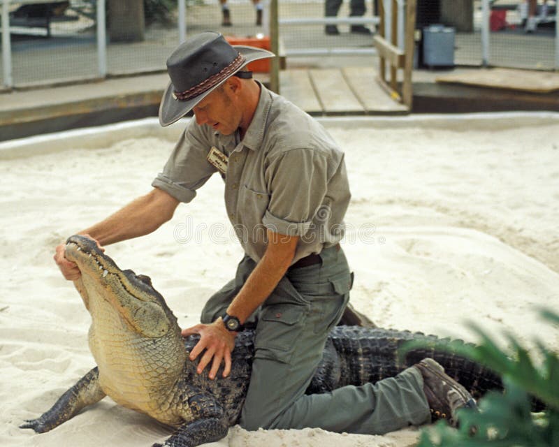 Gatorland - Gator Wrestling Editorial Stock Image - Image of animal ...