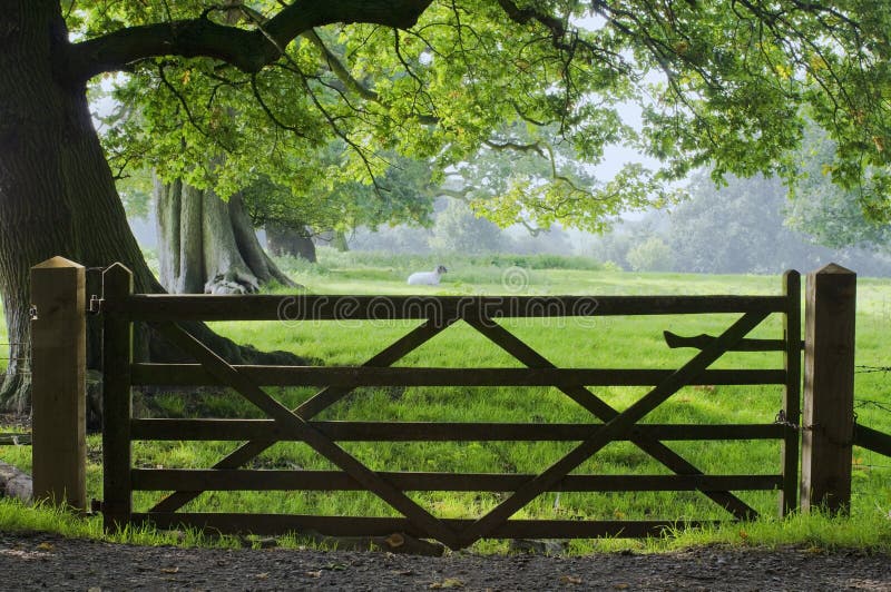 Gatter stockfoto. Bild von gatter, wald, hügel, land - 24908878