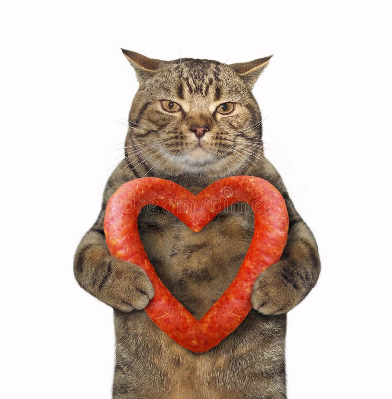 Gatto Con Un Cuore 2 Della Salsiccia Immagine Stock - Immagine di rosso ...