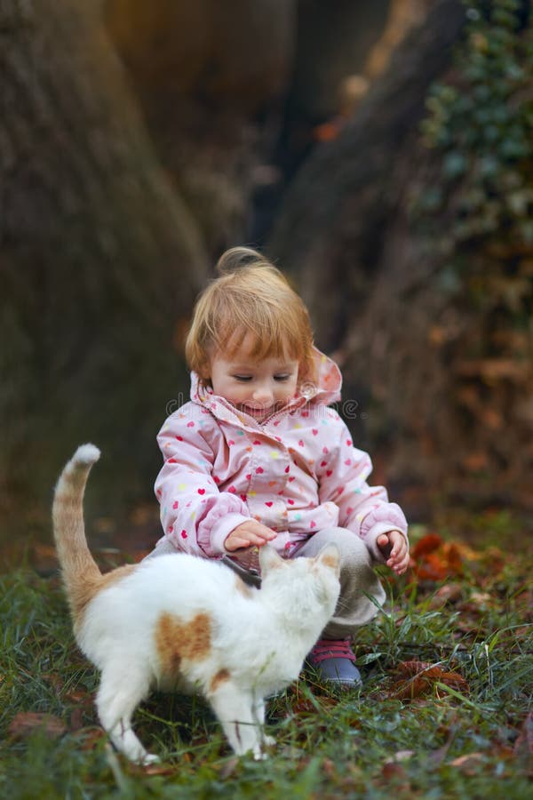 Gatto di amore immagine stock. Immagine di umano, svago - 78020421