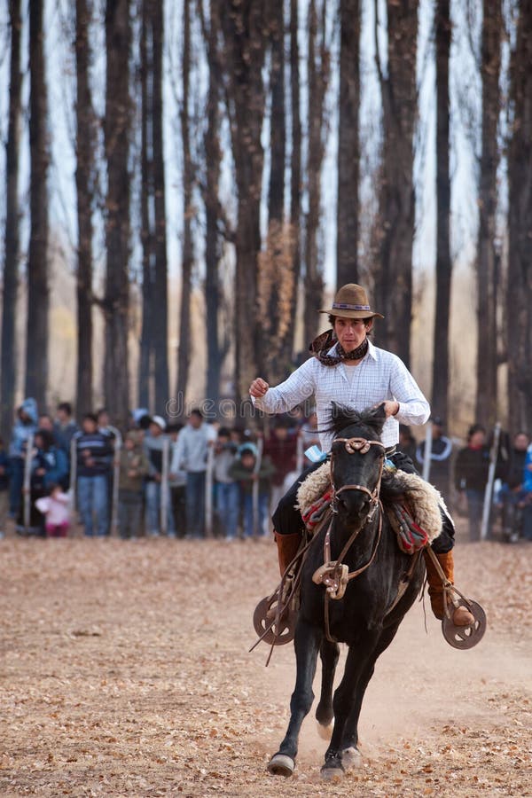 A Gaucho Riding a Horse in Exhibition Editorial Photography - Image of ...