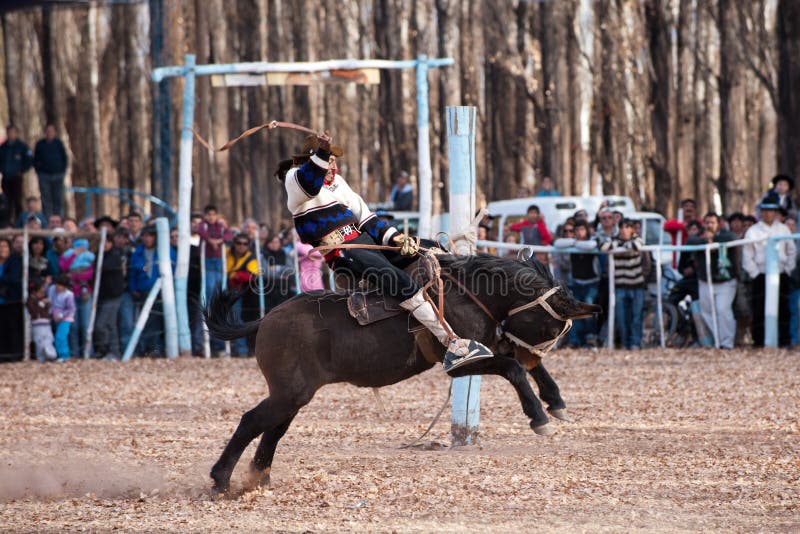 A Gaucho Showing His Rodeo Skills Editorial Photo - Image of horse ...