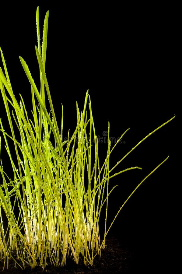 Gaussian Blur stock photo. Image of horizon, outdoor - 77268334