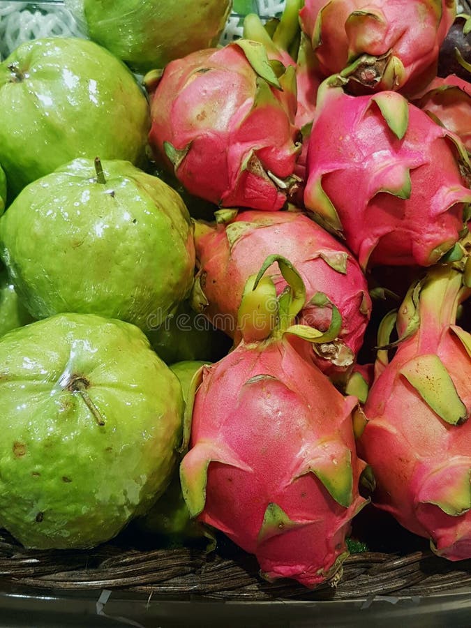 Gava stock photo. Image of thai, fruit, tropical, gava - 97147982