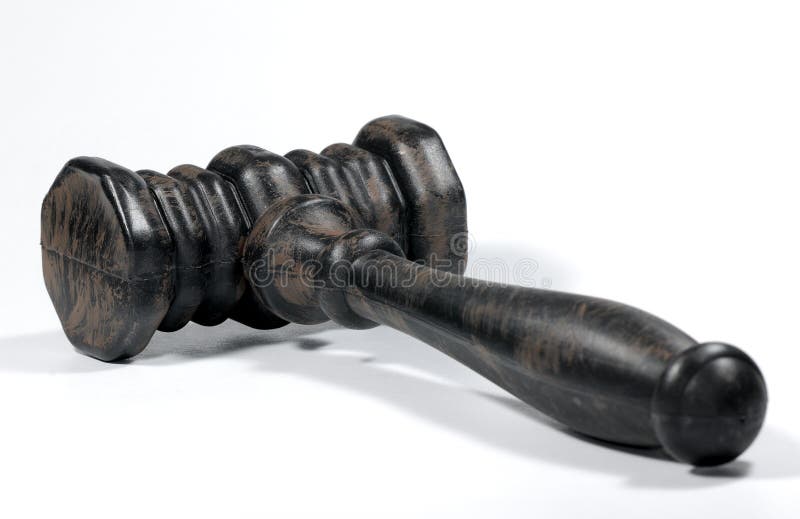 Dana Rothstein (Webking) - Photographer profile