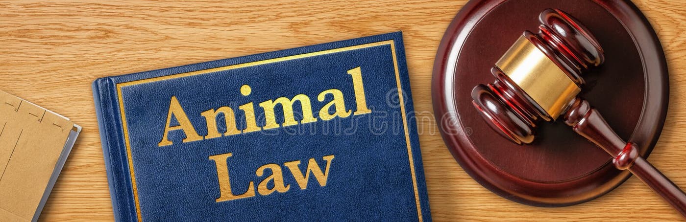 121 Animal Courtroom Stock Photos - Free & Royalty-Free Stock Photos ...