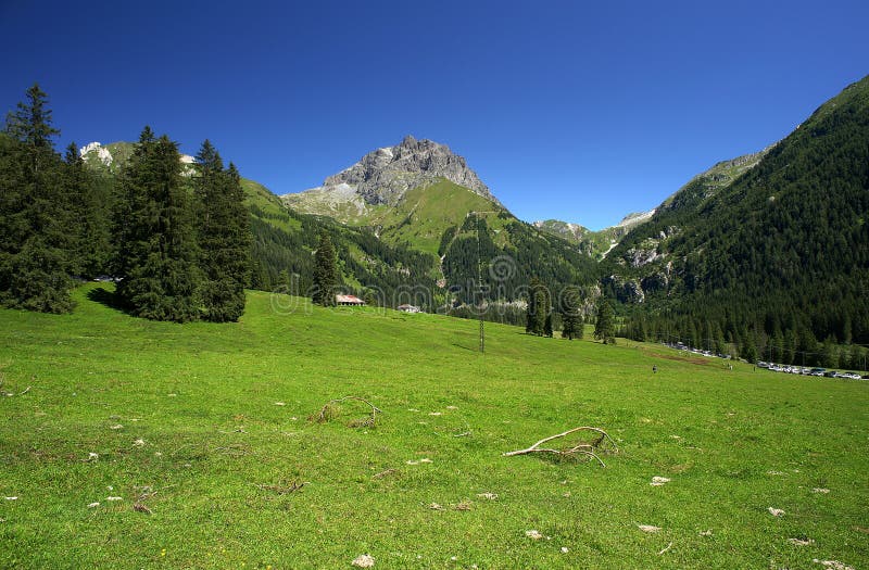 Gaver stock photo. Image of tree, grass, plai, holiday - 11239368