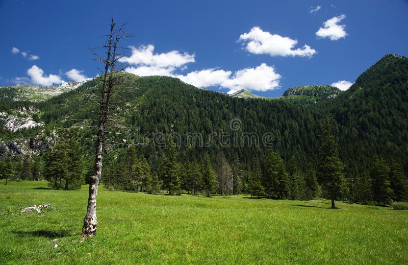 Gaver stock photo. Image of plain, walk, gaver, ramble - 11240162